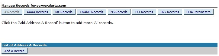Here is the sample of our DNS Control Panel Screen